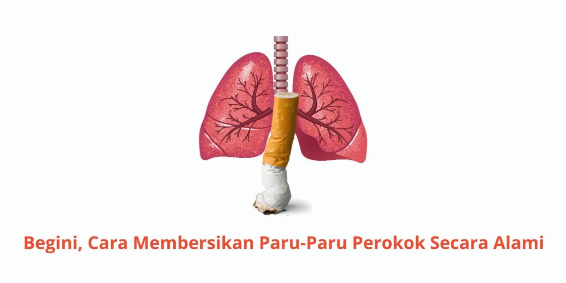 Begini, Cara Membersikan Paru-Paru Perokok Secara Alami