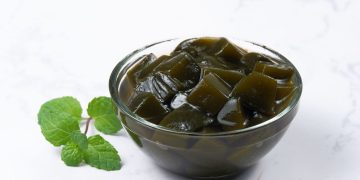 Manfaat Daun Cincau Hijau untuk Kesehatan Tubuh - Info Kesehatan