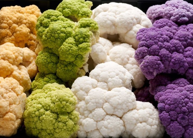 Kandungan dan Manfaat Bunga Putri Malu Bagi Kesehatan