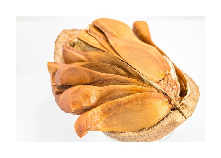 Link Skrining BPJS Kesehatan Secara Online dan Caranya - Info Kesehatan