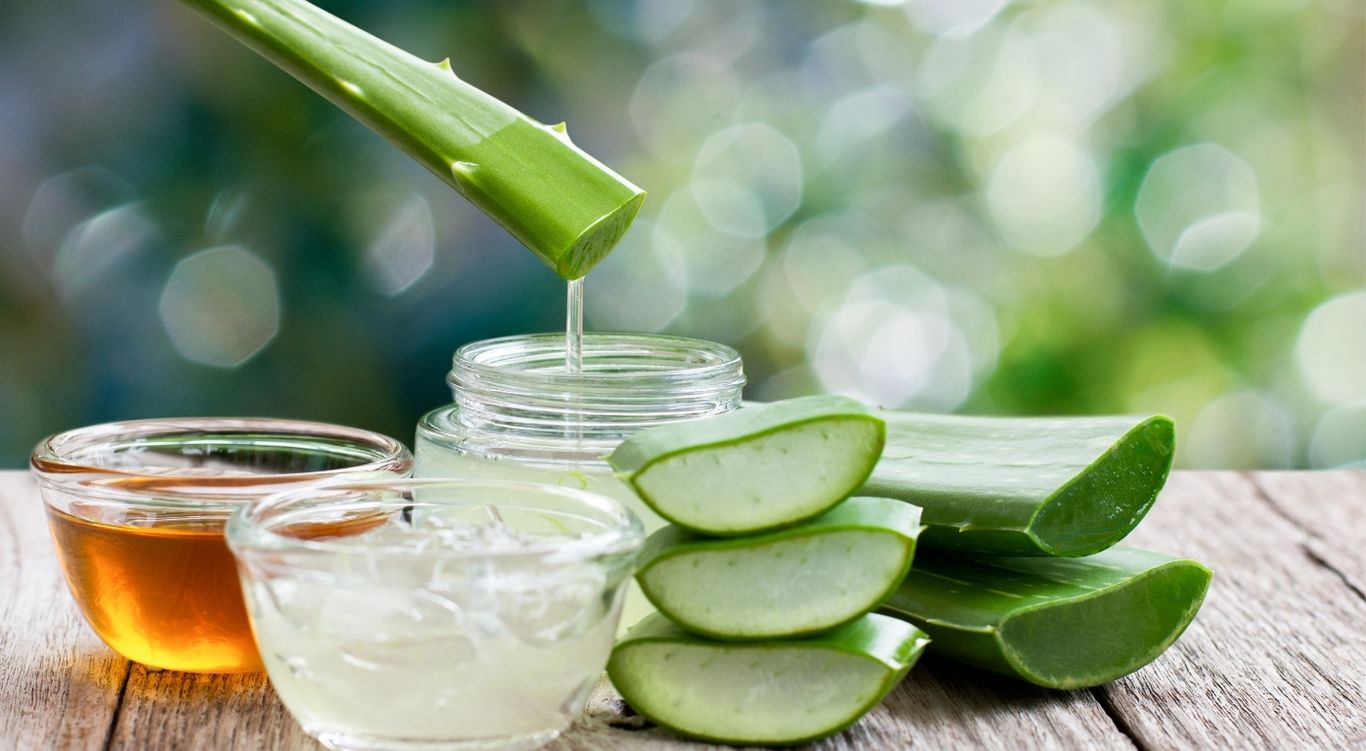Manfaat Aloe Vera Gel Untuk Wajah - Info Kesehatan
